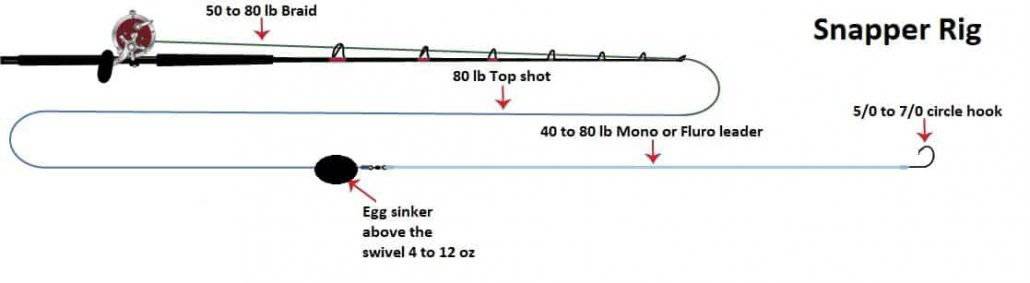 Key West Mutton Snapper Fishing